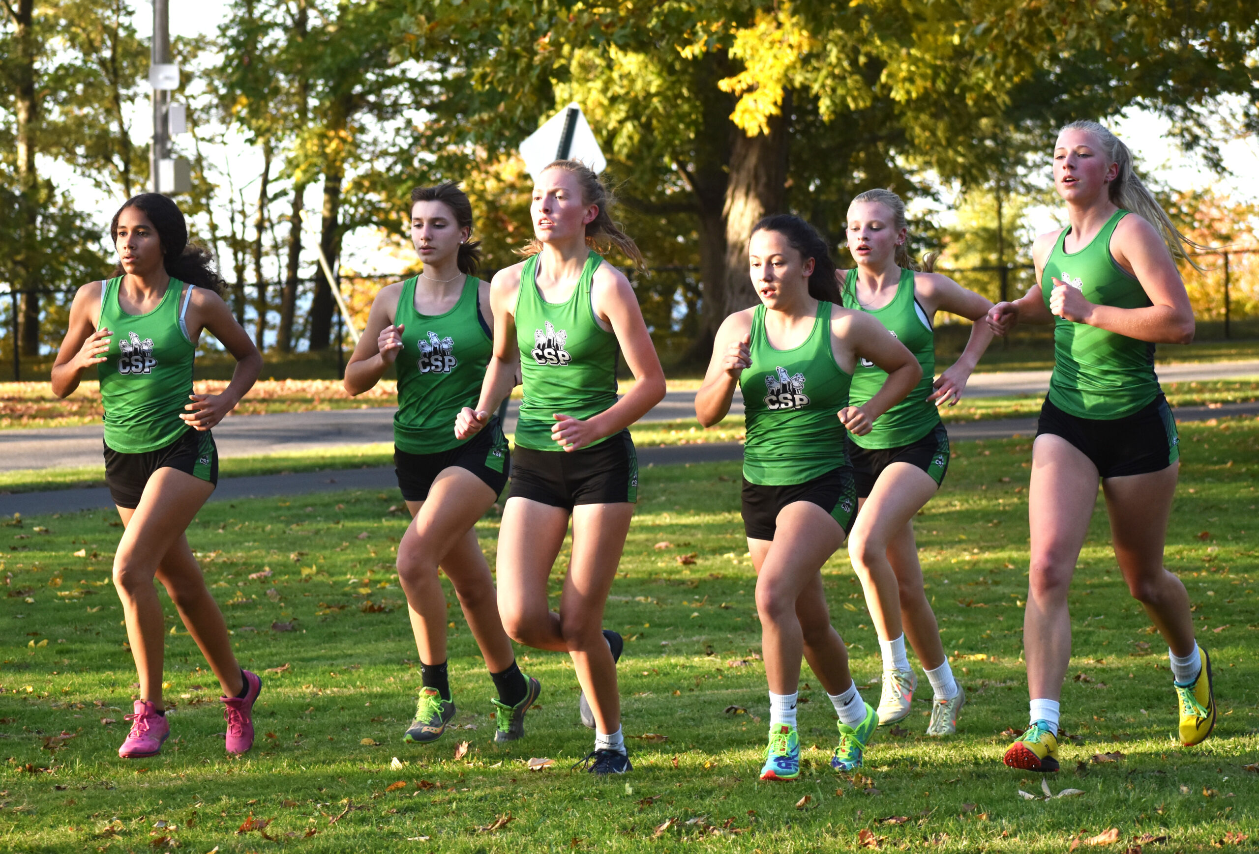 Wolfpack Rolls At Point Gratiot | News, Sports, Jobs - Post Journal